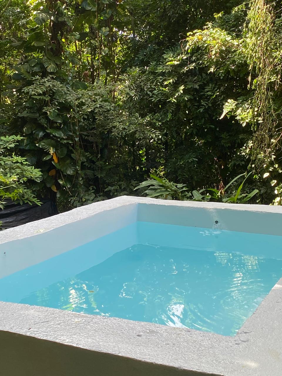 The Wild Farm en la zona de El Yunque/7 huéspedes. - Casas miniatura en ...