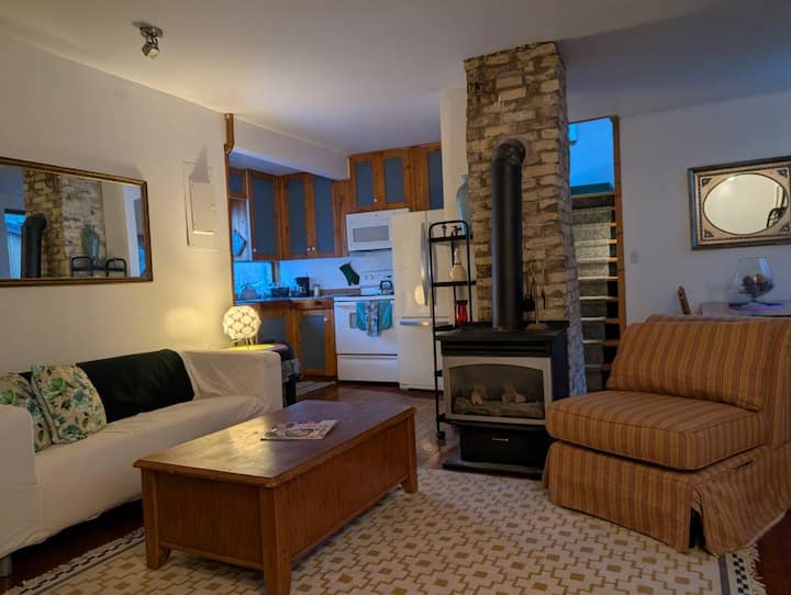 Cozy 1bdr Apartment Near Ivey Park - London