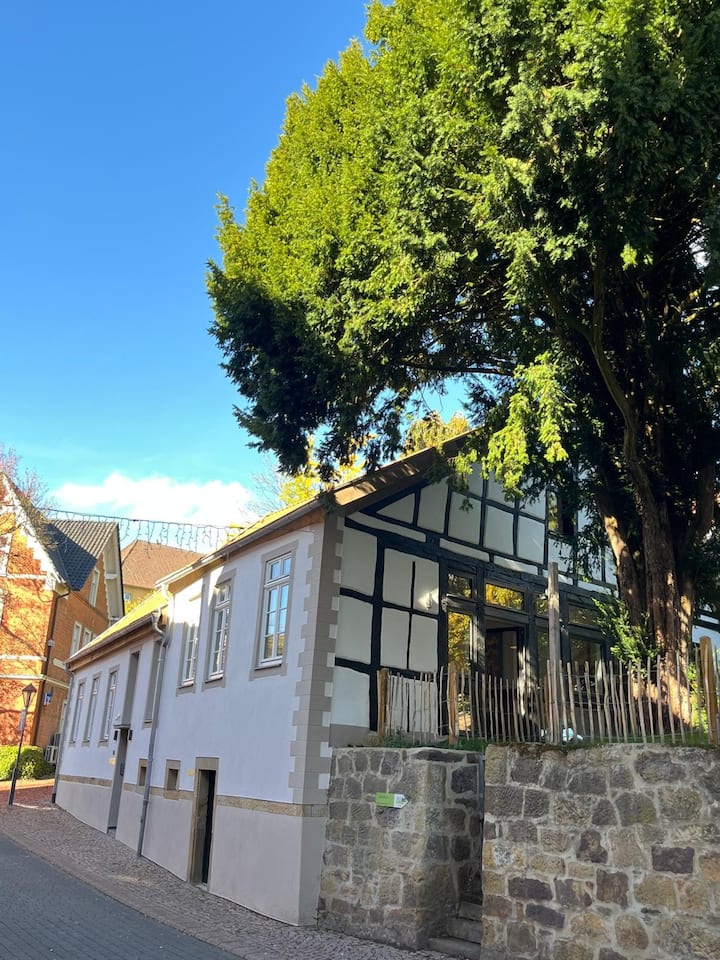 Eibenhaus Appartement 5 - Bad Iburg