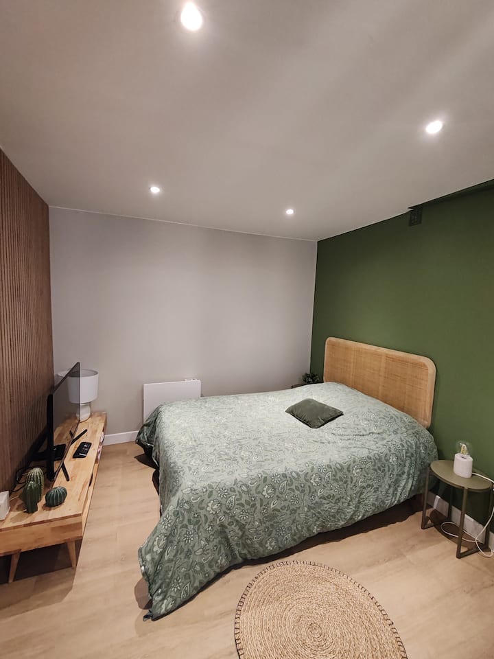 Ravissant Studio Centre Historique Orléans - Orléans