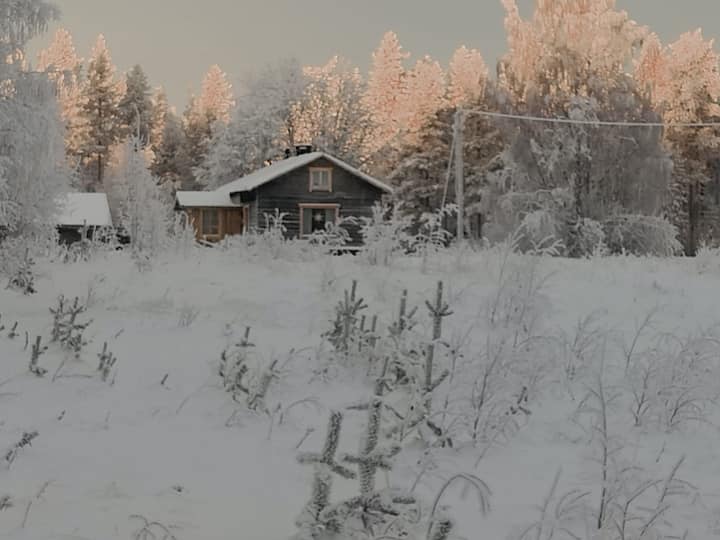 Aito Lapin Kokemus Metsävainion Tuvassa - Lapland