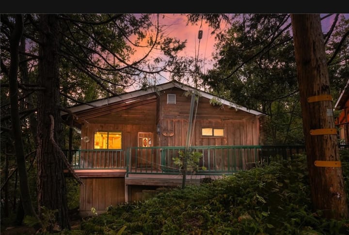 The Pinecone Lodge | Bass Lake Cabin W/ Boat Slip - Bass Lake, CA