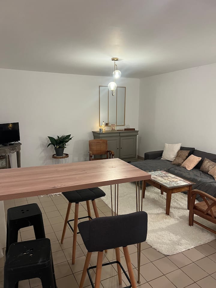 Maison Avec Jardin, Proximité éTang - Miniac-Morvan