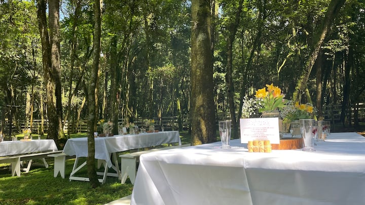 Chácara Em Curitiba - Curitiba