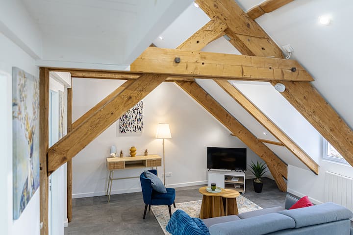 "Vaucouleurs" Duplex Lumineux Et Spacieux - Orléans