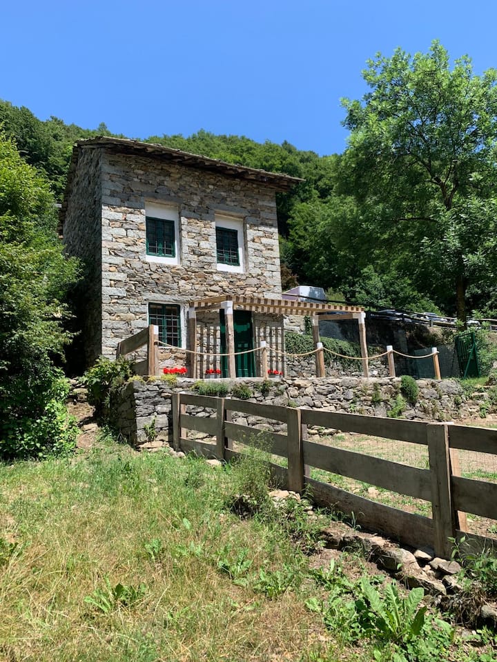 Cabin Valle Cervo - Pila