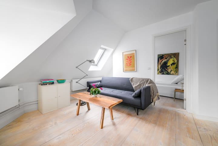 Penthouse In The Very Center Of The City - Copenhague
