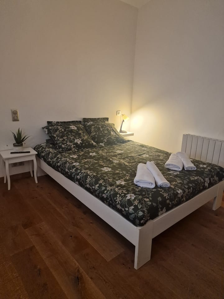 Très Beau Studio Centre-ville, Marché De Noël. - Straatsburg