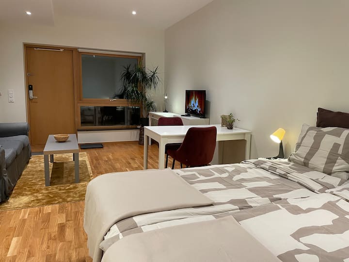 New, Calm, Central, Patio +Street Parking - Stockholm