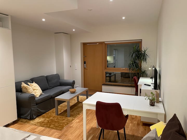 New, Calm, Central, Patio +Street Parking - Solna