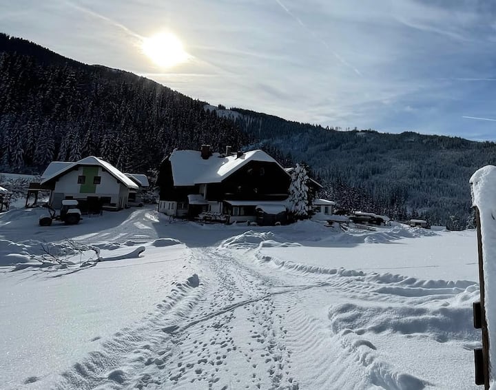 Hirzhof So Bike& Ski -Kammspitze Apartment - Schladming