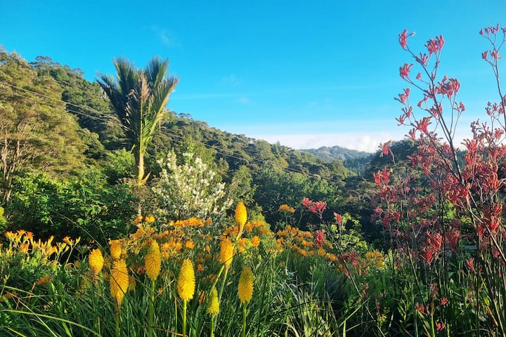 Solara Cabin • Secluded Nz Bush Escape - Wellsford