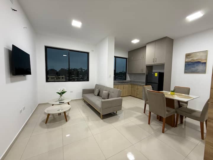 Departamento De Lujo - Santo Domingo