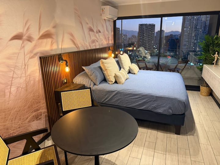 Estudio Barrio Italia Metro Irarrázaval - Santiago