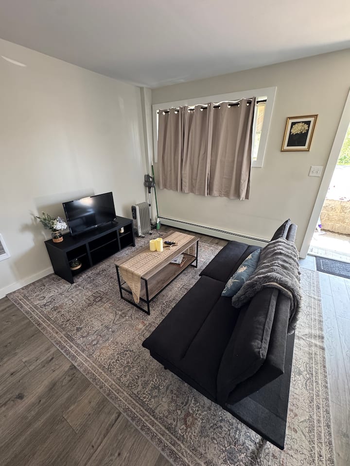 Oswego Central Comfort - One Bedroom Apartment - Oswego, NY