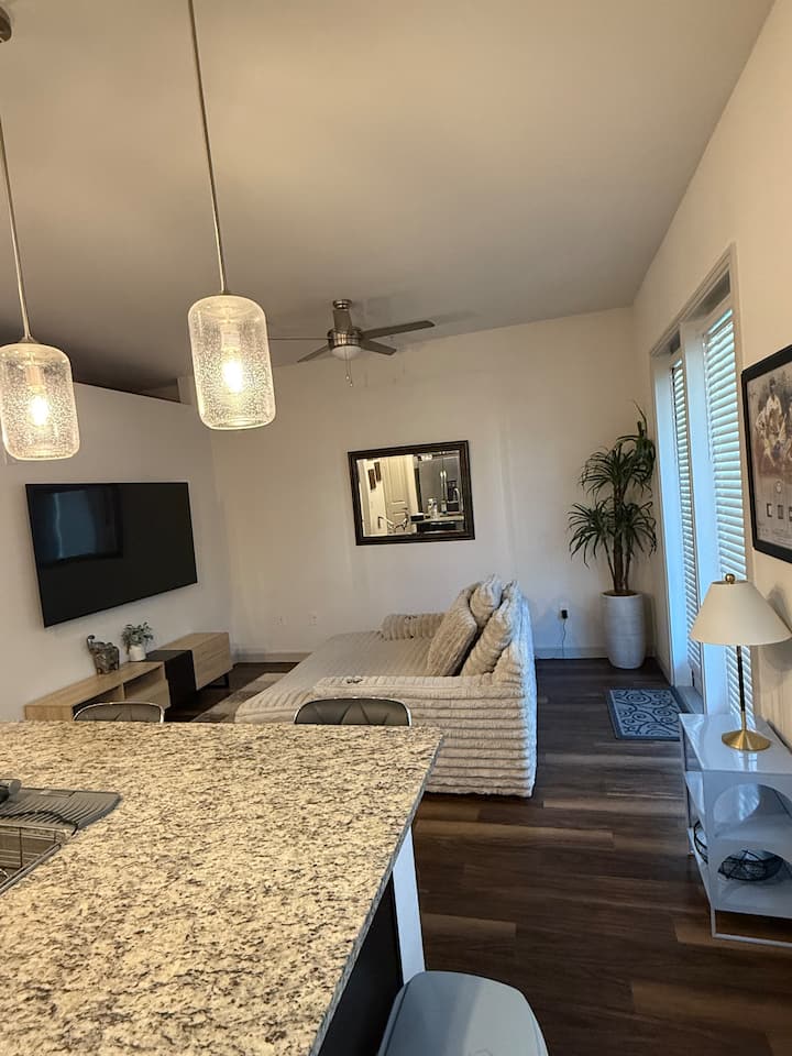 Modern Retreat In Grapevine. - Grapevine, TX