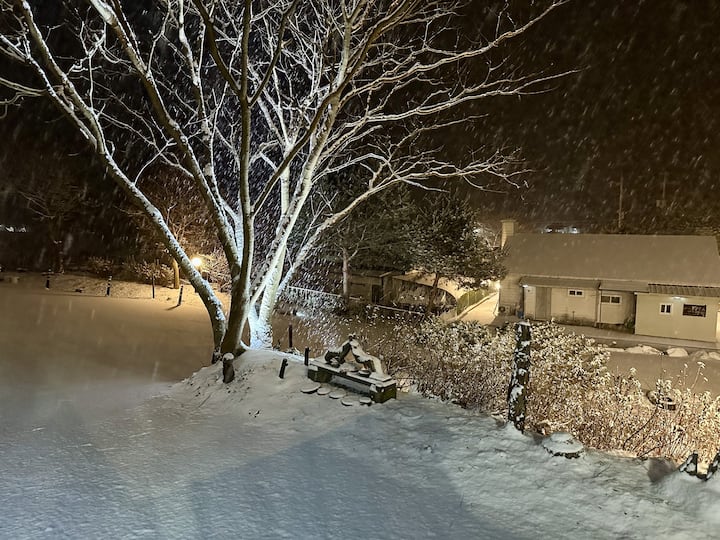 시골감성 독채사용 실내바베큐장(환기,난방) - 태장2동