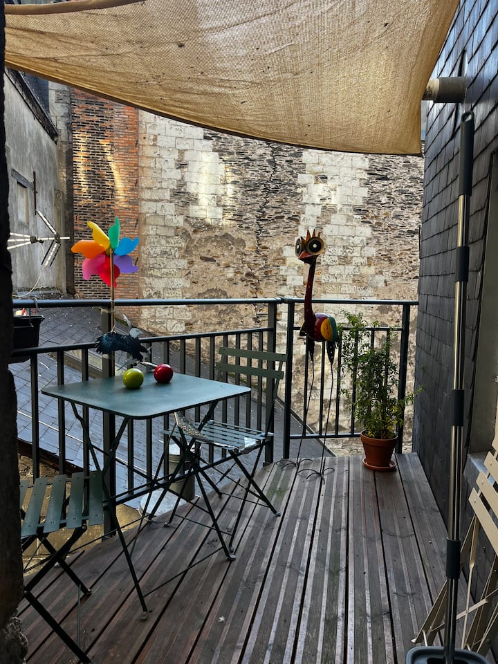 Studio De Charme Avec Balcon Hyper Centre D'angers - Angers