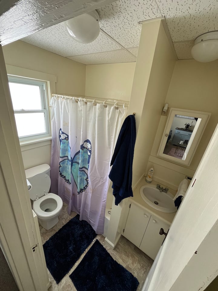 Simple, Soothing, Relaxing & Quiet! - Flint, MI