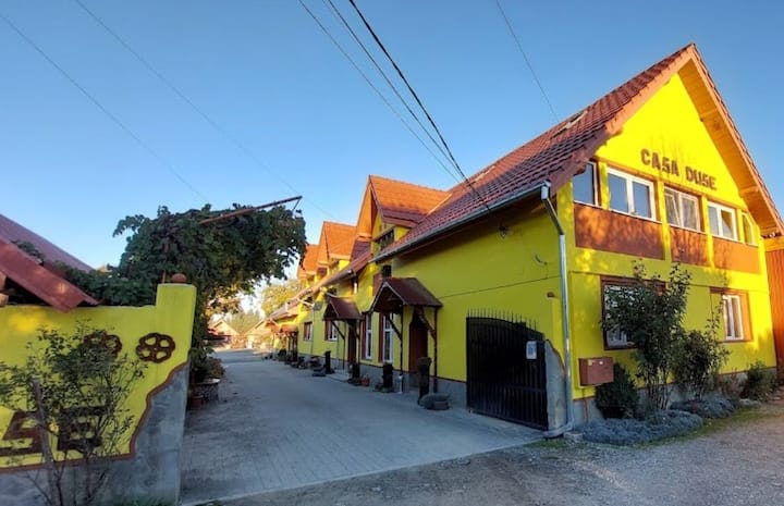 Pensiunea Casa Duse - Cârțișoara