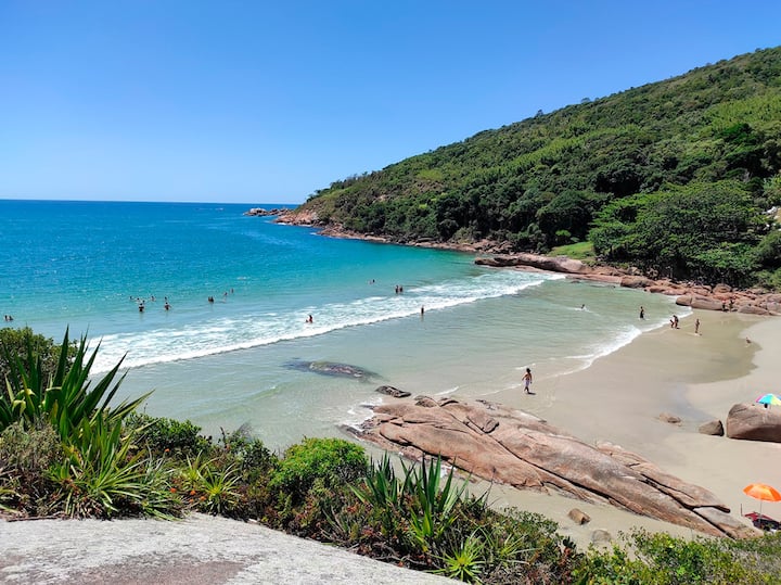 Aluguel De Casa Em Florianópolis - Florianópolis