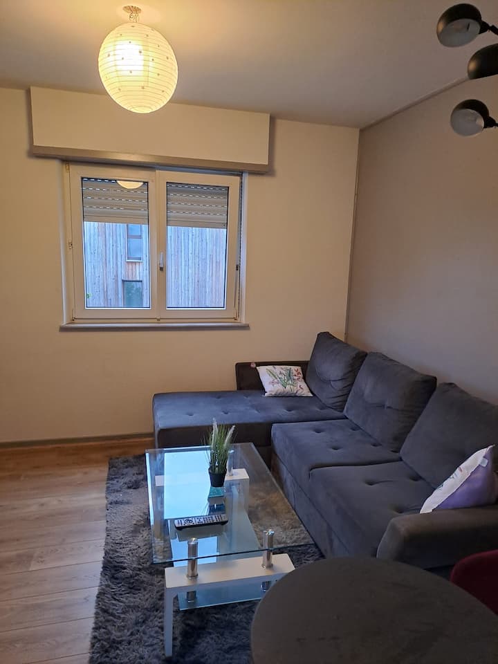 Chambre Chez L'habitant - Illkirch-Graffenstaden