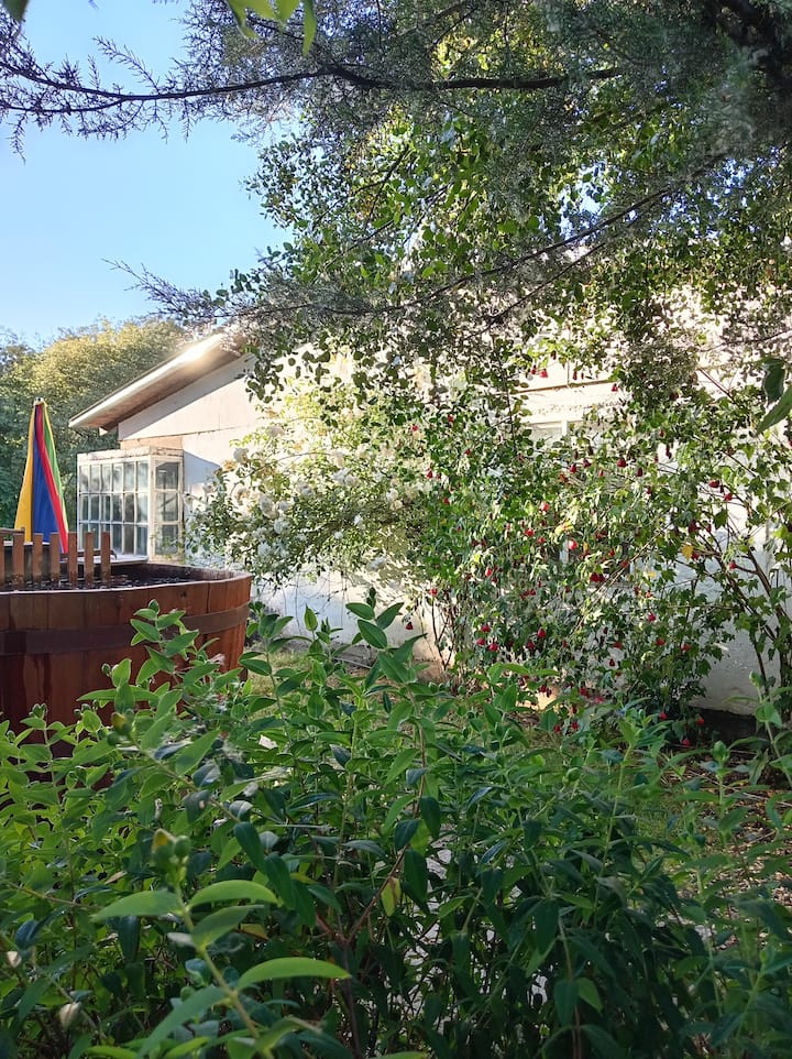 Campestre - 산카를로스