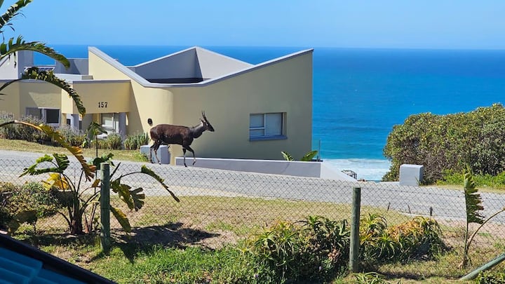 Comfy Crib (With Solar)-get In Touch With Yourself - Knysna