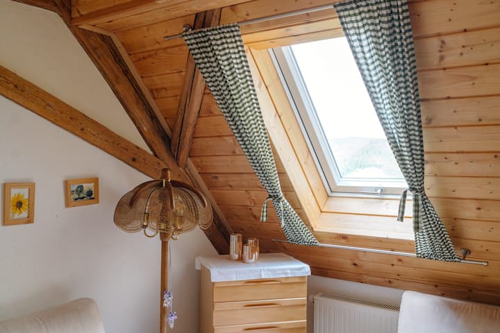 Aprt Forest (60м) - Baiersbronn