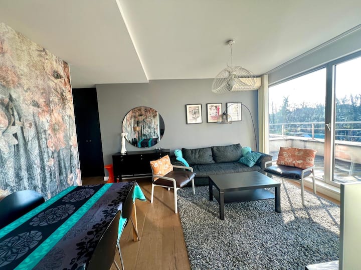 Strasbourg 3 Pièces Meublés Avec Terrasse - Strasburgo