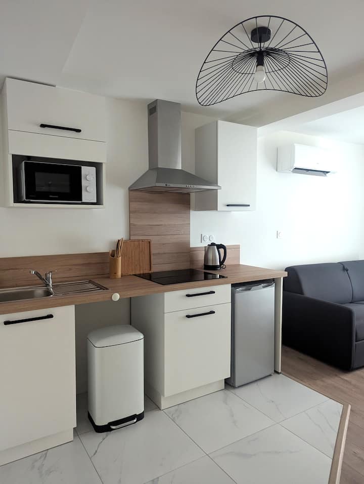 Le Nid Des Piétons - Hyper Centre - Valence, France