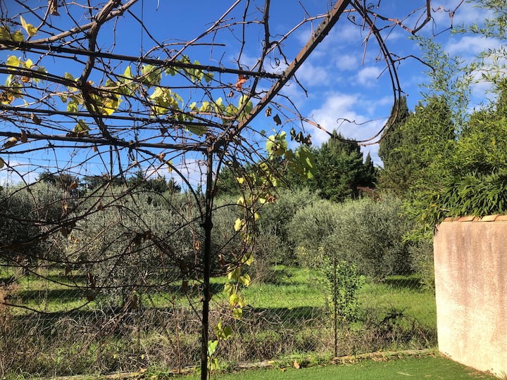 Maison Dans Un Endroit Calme - Orange