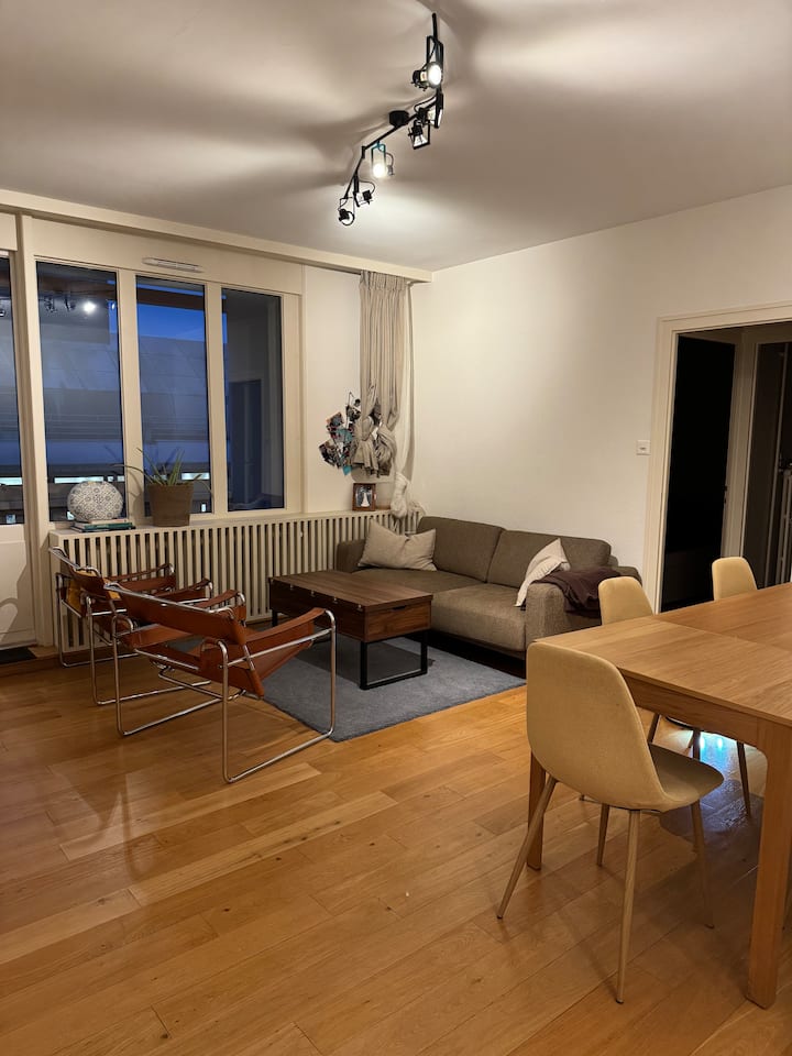 Appartement Entier - Quartier Calme - Genève
