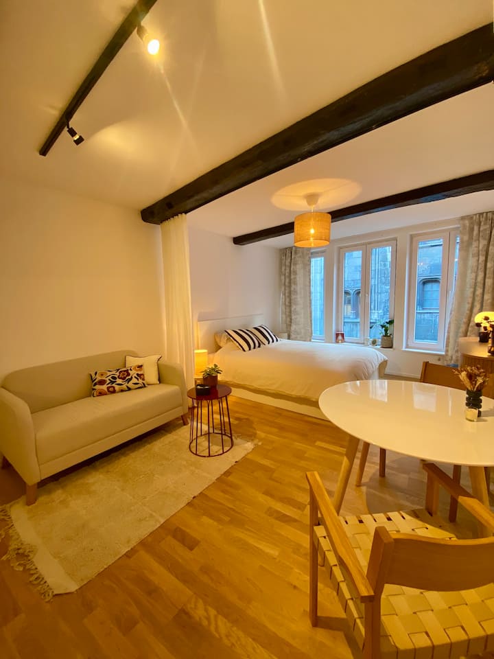 Studio Du Palais - Liège