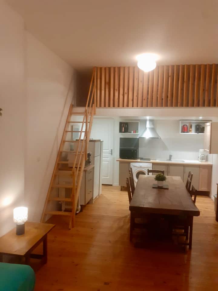 Grand Studio Familial - Gourette