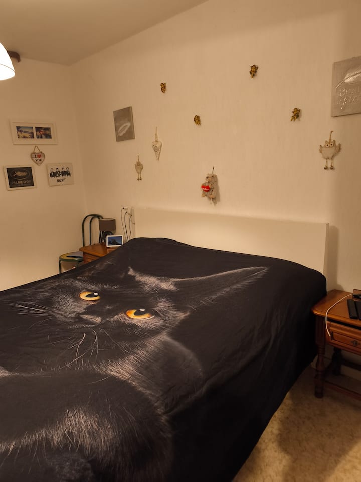 Chambre D'hôtes Avec Télé - Colmar