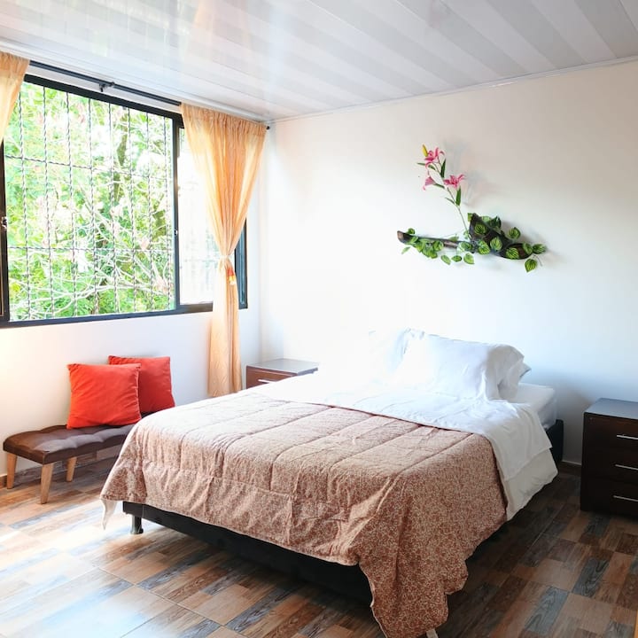 Apartaestudio Lumina | Luz Del Amazonas - Ibagué