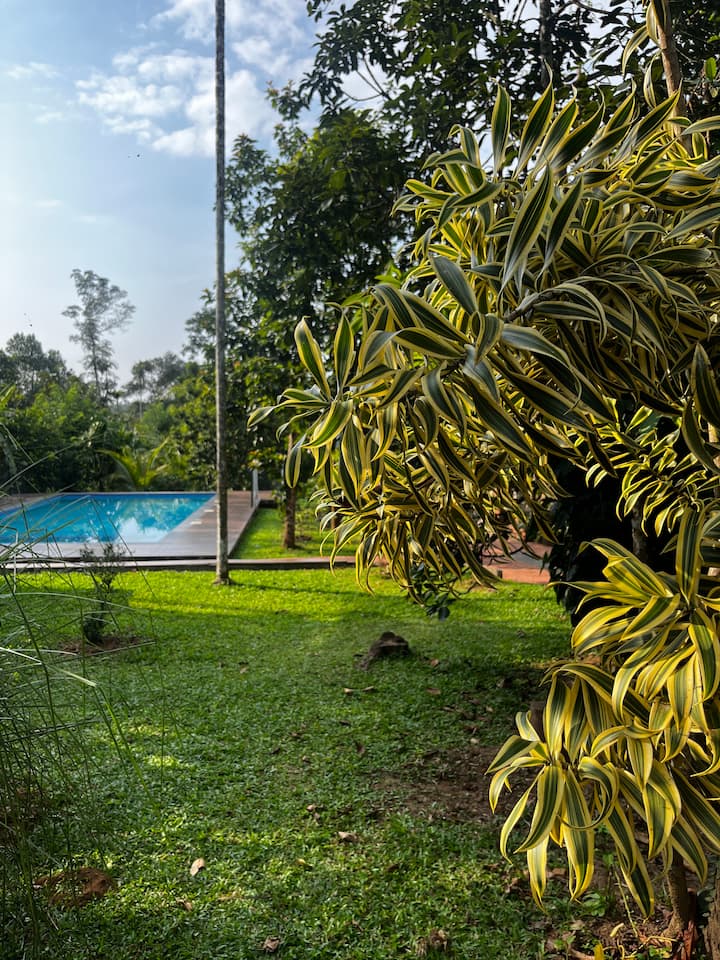 Avocado Orchards Villa - Wayanad