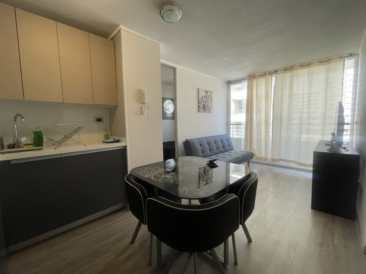 Lindo Departamento Nuevo En Santiago Histórico - Santiago