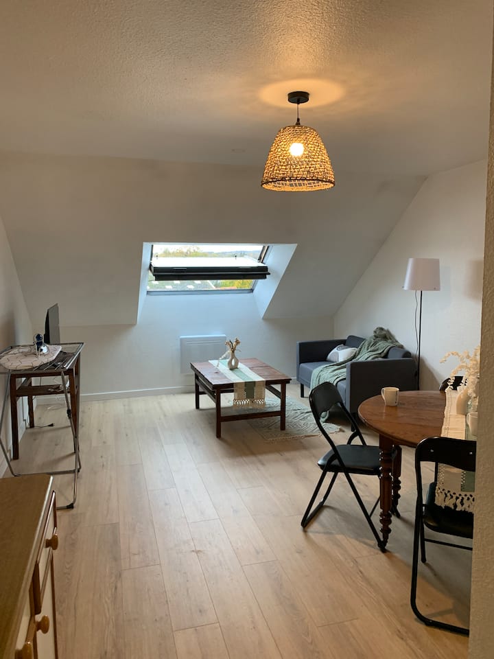 T2 Cosy Et Lumineux – Centre-ville à Pied - Pontivy