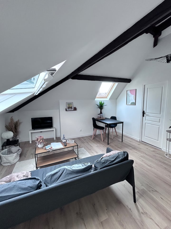 Vue Cathédrale, Tour Perret Et Maison Jules Verne! - Amiens