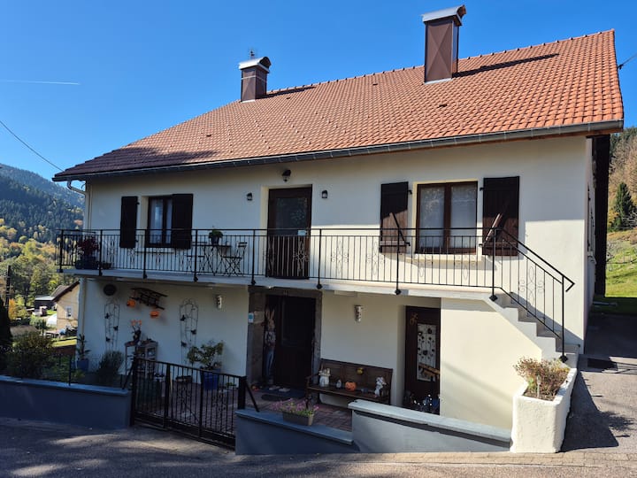 Les Chamois, Appartement 6 Personnes Avec Balnéo - Bussang