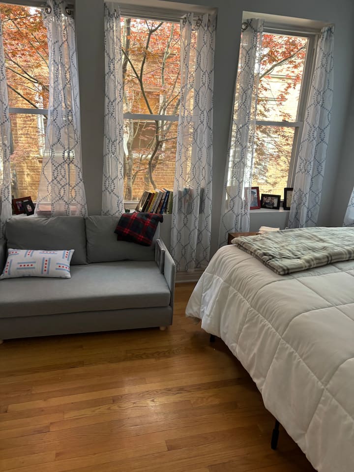 Cute Andersonville Place. - 埃文斯頓