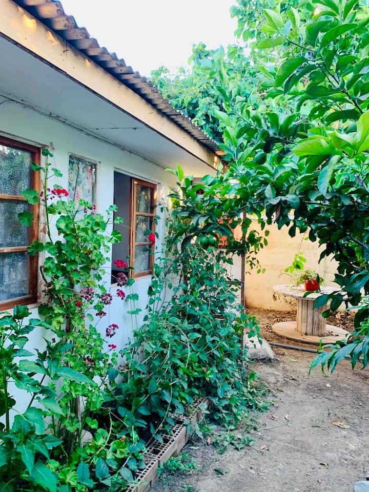 N Casa Cerca De Ovalle ÁRboles Y Gran Patio - Ovalle