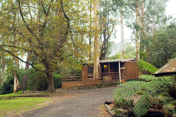 Tarra Valley Retreay - Exclusive Use - Tarra-Bulga National Park