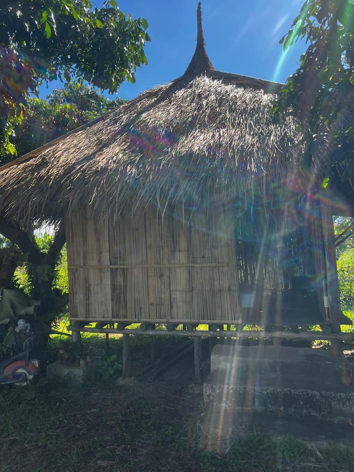 Cozy Bamboo Hut In Nature Fibre Internet - Chiang Dao