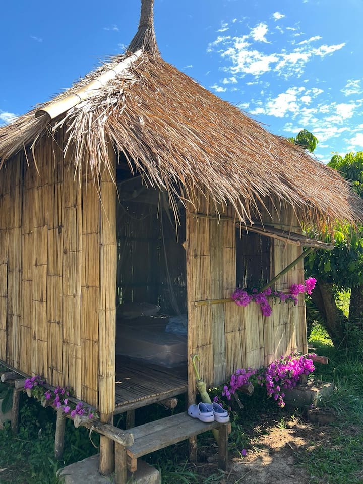 Rustic Bamboo Hut With Mountain View - Chiang Dao