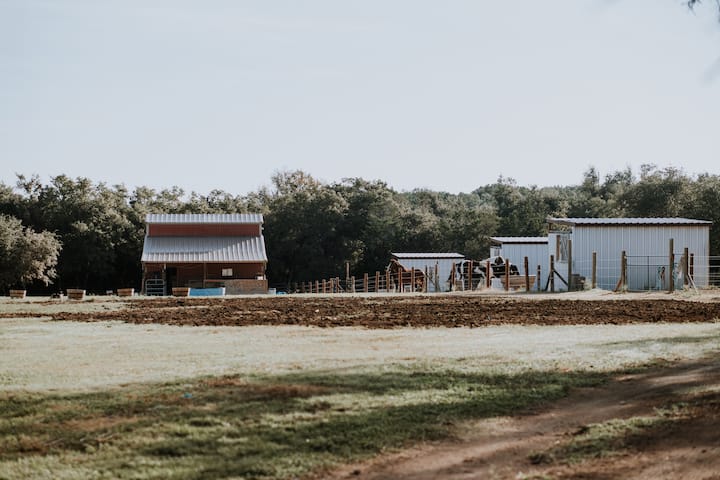 Horse Ranch Retreat In Wimberley - Wimberley, TX