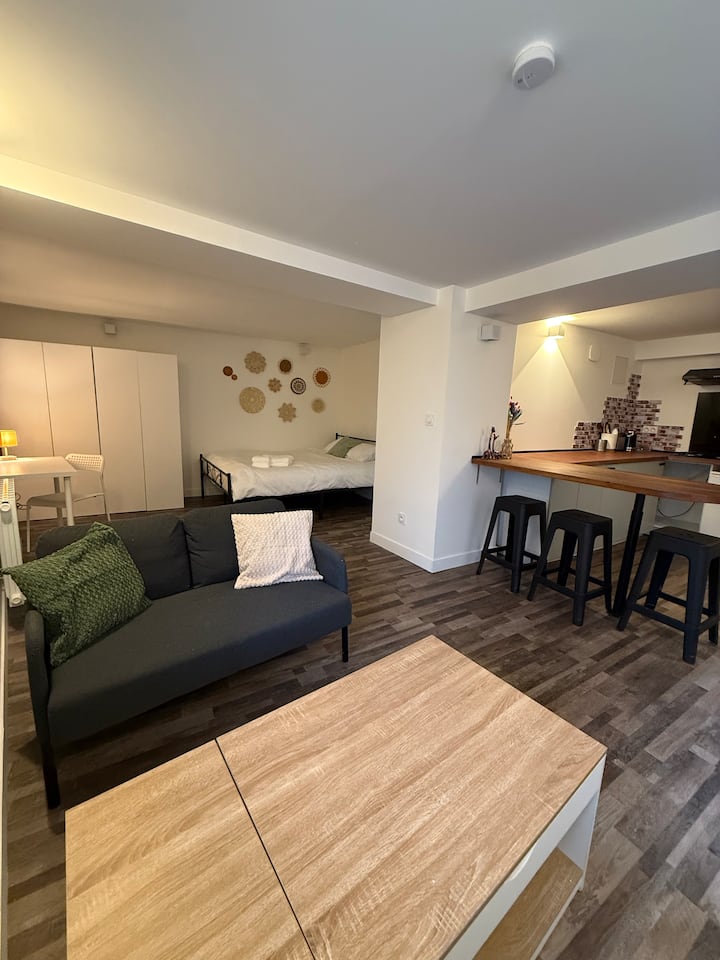 Studio Neuf à 2 Pas Du Métro Direction Part-dieux - Lyon