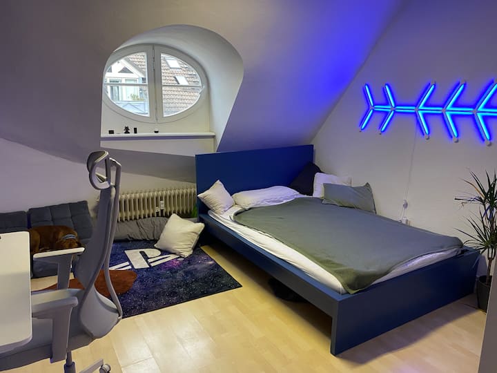 Gemütliches Zimmer Mit Blick üBer Die Dächer - Darmstadt